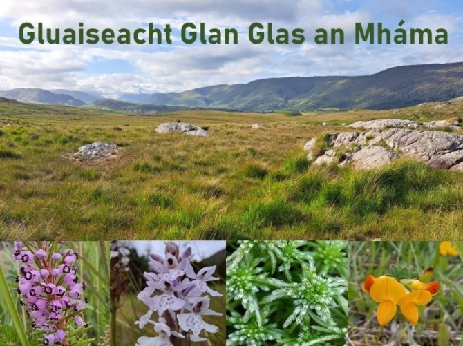 Maam Valley Bog Walk- Heritage Week | Galway County PPN